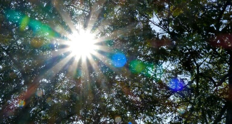 Running in the Sun Every Day Might Be Affecting You More Than You Think ...
